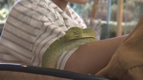 爬虫類カフェバー「repl（レプル）」爬虫類と触れ合う非日常体験で癒されよう