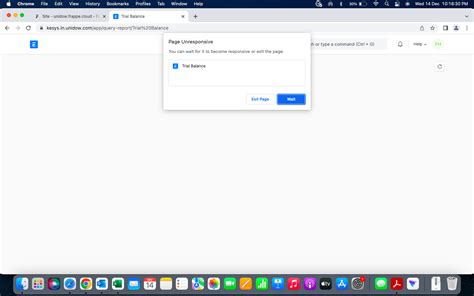 Trial Balance And Other Reports Are Not Working · Issue 33325 · Frappe