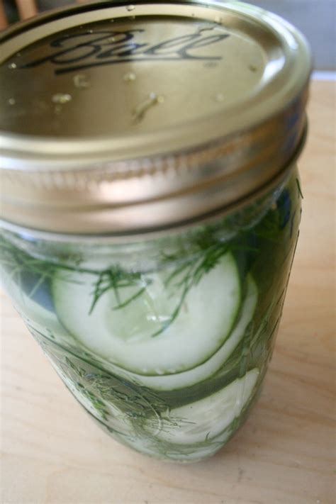 Cookeatthink Pickled Cucumber Slices Cookeatthink Pickled Cucumber Slices