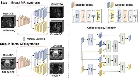Multi Task Reconstruction Network For Synthetic Diffusion Kurtosis Imaging Predicting
