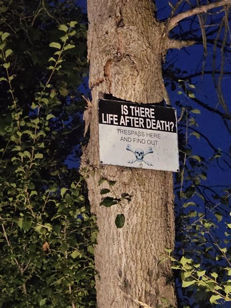 Anybody Elses Spark App Not Working Or Is It Just My Area Rsparkdriver