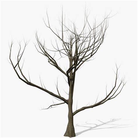 Tree Free 3d Models Fbx Fbx Download Free3d