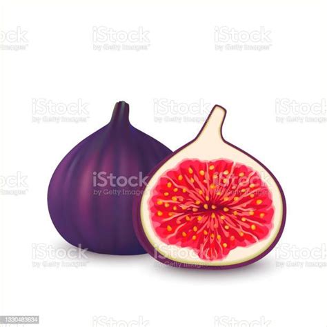 사실적인 전체 및 반 컷 무화과 흰색 배경에 고립 된 신선한 슬라이스 무화과의 벡터 그림 달콤한 육즙 과일 건강한 라이프 스타일을위한 여름 열대 과일 0명에 대한 스톡 벡터