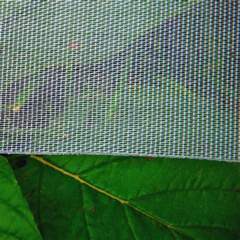 Fruit Trees Home Gardening Apple Cherry Pear Plum Fruit Tree Netting