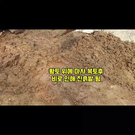 농촌 미니굴착기 임대 평택농업기술센터 호림농장 Youtube