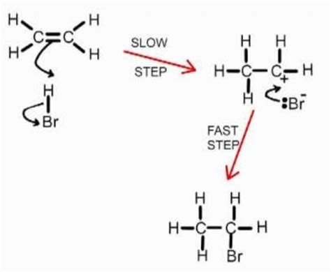 Alkenes Chemistry Class 11 Hydrocarbons