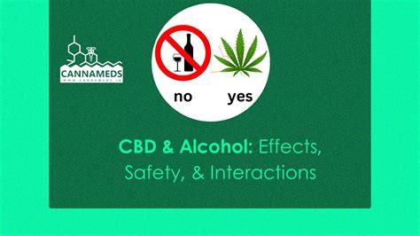 Cbd And Alcohol Effects Safety And Interactions Cannameds India