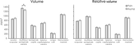 Comparisons Of Muscle Volume And Relative Volume Between Individuals
