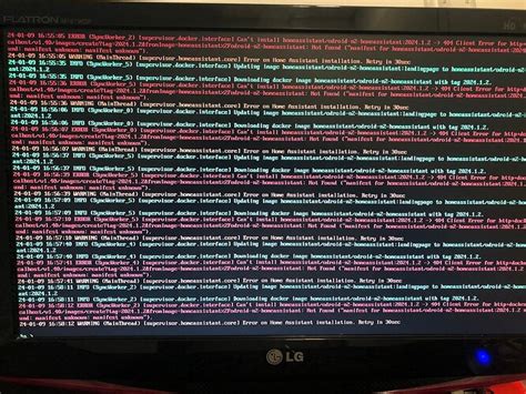 Error On Home Assistant Installation Home Assistant OS Home