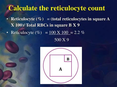 PPT Reticulocyte Count PowerPoint Presentation Free Download ID 7079814