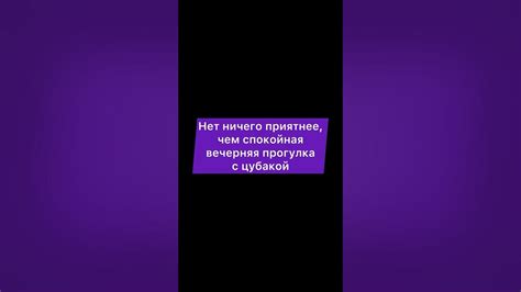 французский бульдог приколысживотными прикол собака французскийбульдог Youtube