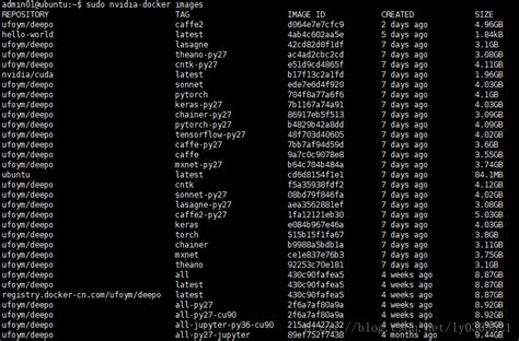 docker容器、镜像的基本操作 shm size 8g csdn博客