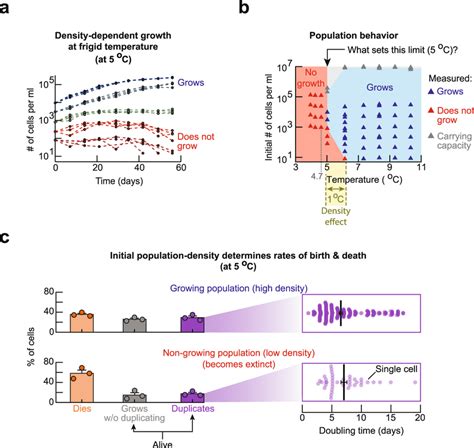Yeast Cells Help Each Other In Surviving And Duplicating At Frigid Download Scientific Diagram