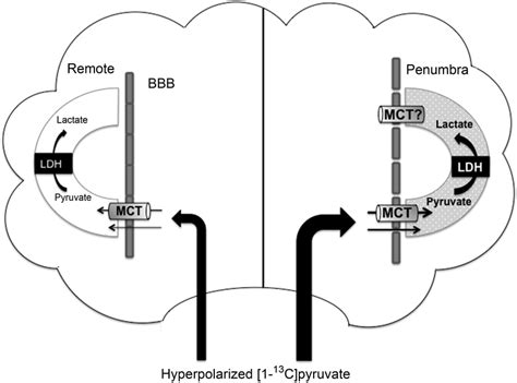 An Illustration Describing Our Proposed Paradigm For The Capacity Of Download Scientific