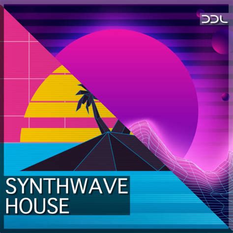 Limited Special Synthwave House 12 Deep Data Loops
