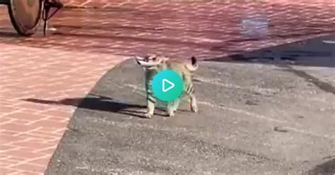 Happy Moment Album On Imgur
