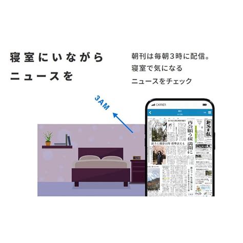 新潟日報電子版朝刊1カ月 新潟県新潟市JRE MALLふるさと納税