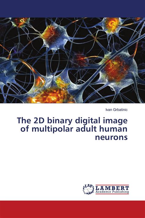 the 2d binary digital image of multipolar adult human neurons 978 3