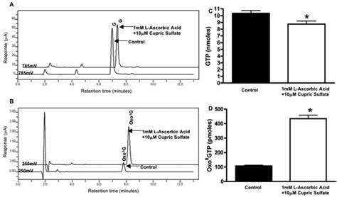 Assessing Biomarkers Of Oxidative Stress Analysis Of Guanosine And