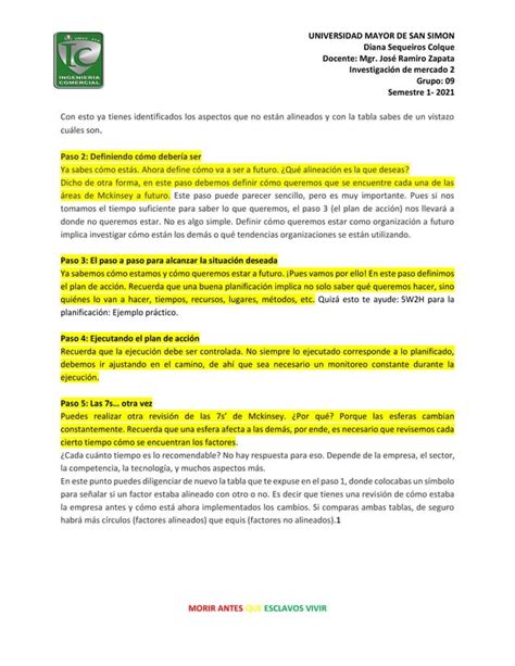 Las S De Mckinsey Pdf