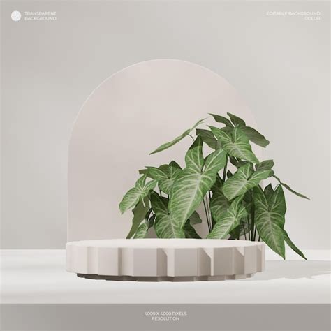 арка и растения прозрачный фон 3d изображение рендеринг пустой макет белого столба подиума в