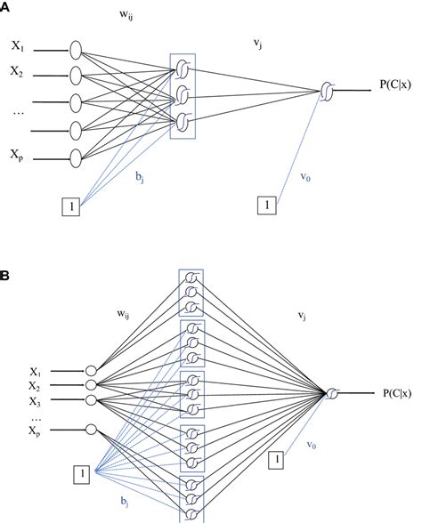 Structure Of The Original Fully Connected Mlp Top And The Partial Download Scientific Diagram