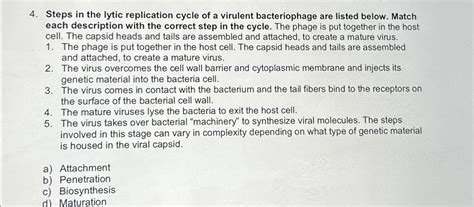 Solved Steps In The Lytic Replication Cycle Of A Virulent