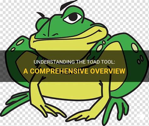 Understanding The Toad Tool A Comprehensive Overview Petshun Understanding The Toad Tool A Comprehensive Overview Petshun