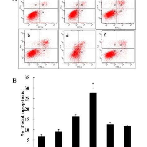 Induction Of A549 Cells Apoptosis After Overexpression Of Klotho A