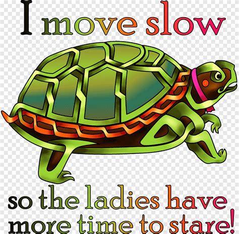 Celtic Turtle Clipart