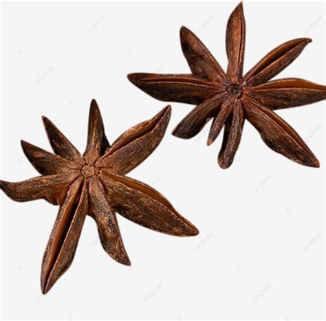 يانسون نجمي بذر اليانسون الينسون مكونات Png صورة للتحميل مجانا