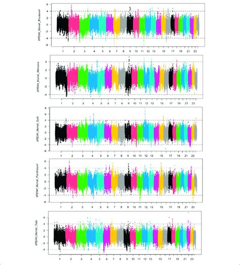 Cross Population Extended Haplotype Heterozygote Xp Ehh Plot Of The