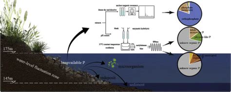 P Environmental Pollution X Mol