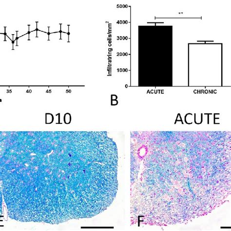 A The Mean Clinical Score Of Mice During The Mog Induced Eae Model B
