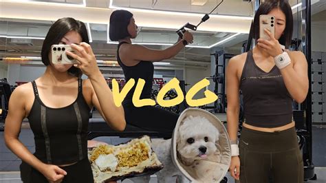 Vlog 예산샌드한여름러닝나이키쇼핑다리들고 벤치프레스 Youtube