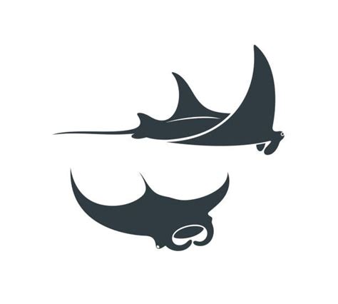 3 500 Stingray Illustrations Royalty Free Vector Graphics Clip Art