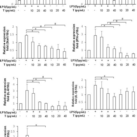 Testosterone Downregulated The Protein Levels Of Jak Stat1 Signaling Download Scientific