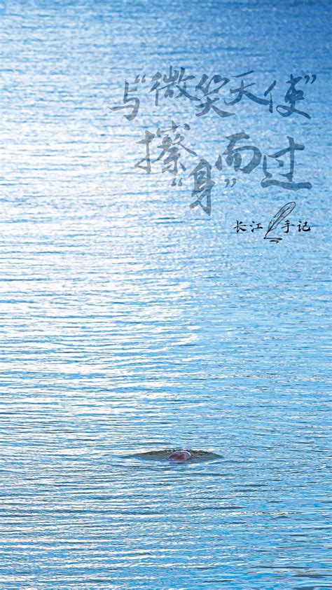 行走长江 新华网客户端