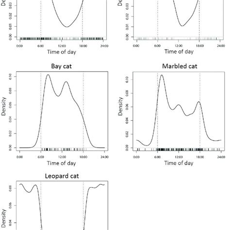Overlaps Of Temporal Activity Patterns Between Bornean Wild Cat Species Download Scientific