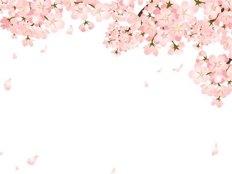フリーイラスト 桜の花と舞い散る花びらの背景 Fondos para diapositivas Fondo de escritorio