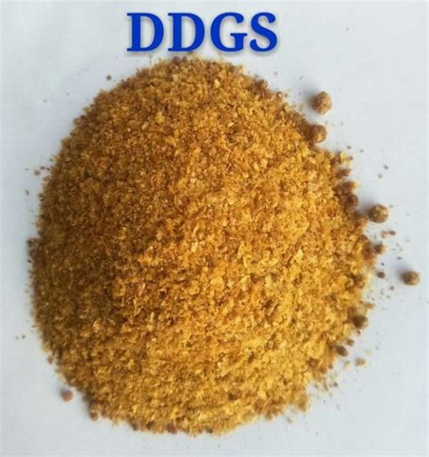 ddgs是什么饲料 ddgs是什么饲料蛋白什么意思 养殖业 畜牧业资讯 畜牧 饲料 农百科 农百科