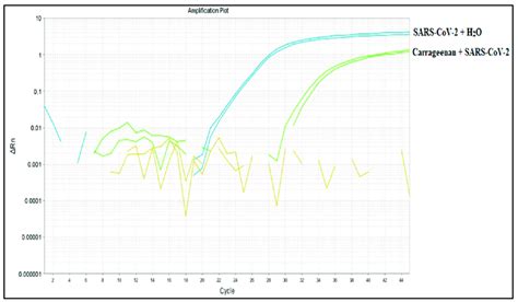Evaluation Of The Binding Capacity Of Sars CoV 2 With Carrageenan