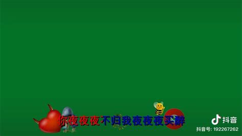 《你夜夜不歸我夜夜買醉》（dj版） Youtube