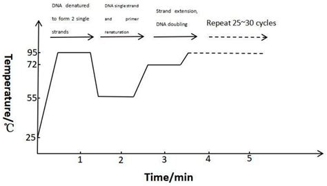Molecular Methods For Identification And Quantification Of Foodborne Pathogens