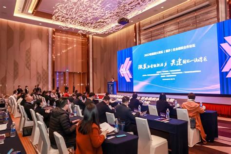 交流合作 我会代表应邀出席粤港澳大湾区（南沙）社会组织合作创新基地揭牌仪式 粤港澳大湾区经济文化促进会