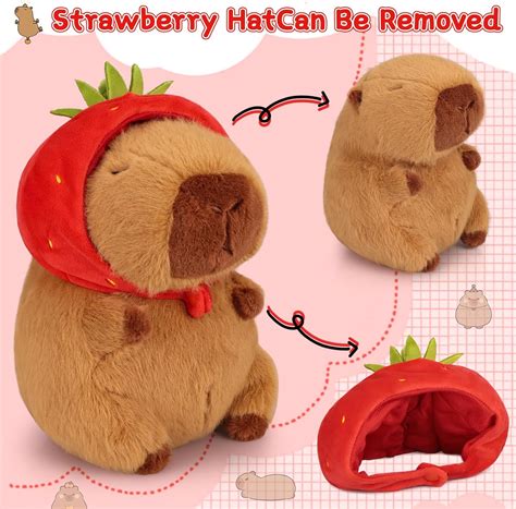 Jouet En Peluche Emoin Capybara Avec Chapeau De Maroc Ubuy