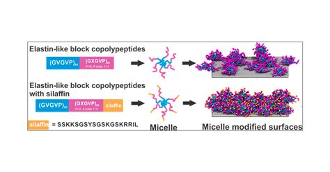 Functional Modification Of Silica Through Enhanced Adsorption Of Elastin Like Polypeptide Block