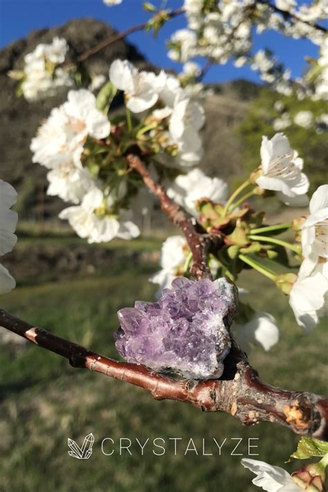 Amethyst Meaning Healing Properties Chakras Artofit