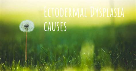 Which Are The Causes Of Ectodermal Dysplasia