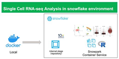 Performing Single Cell Rna Seq Analysis Using 10x Genomic Data Format In R Language Environment